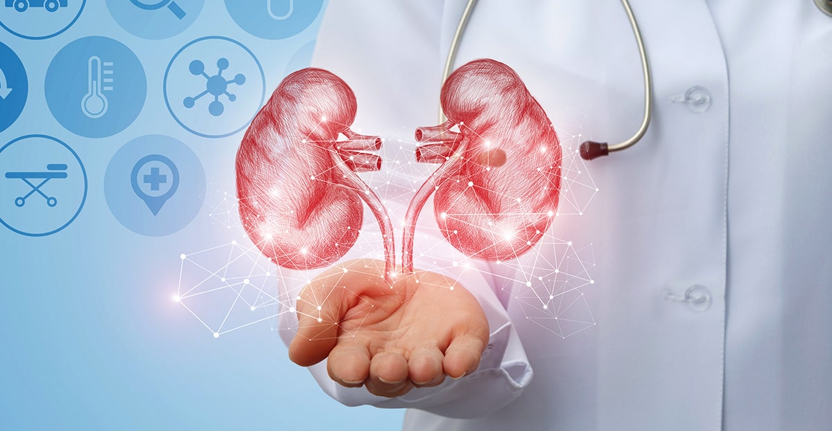 Kidney Health : కిడ్నీ సమస్యలు..! తీసుకోవాల్సిన జాగ్రత్తలేంటి? - Mana ...
