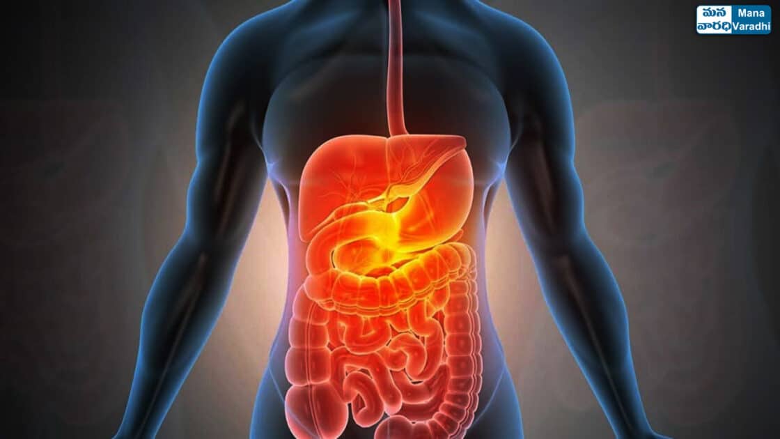 Digestion tips : జీర్ణ వ్యవస్థ చక్కగా పని చేయాలంటే..! - Mana Varadhi