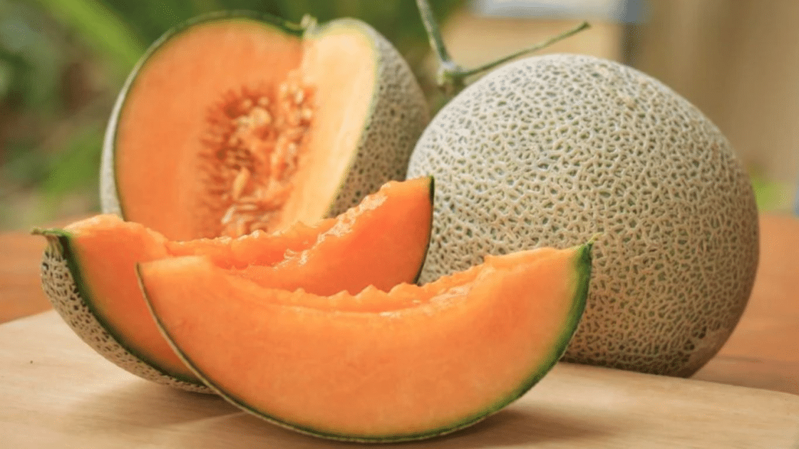Muskmelon : కర్బూజ పండులో ఇన్ని ఔషధ గుణాలు ఉన్నాయా? - Mana Varadhi